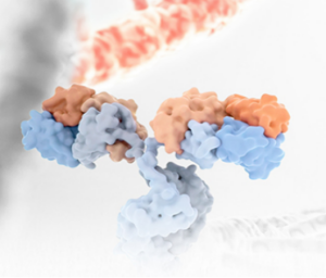 CHO细胞株开发：流程与关键技术点概述 – Chime Biologics