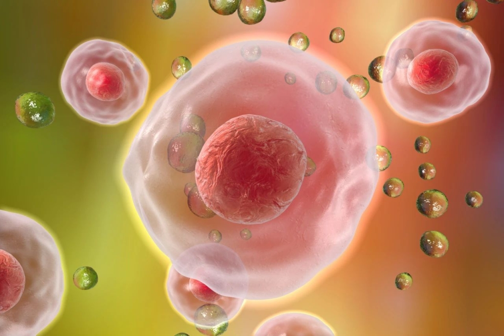 CHO细胞株开发：流程与关键技术点概述 – Chime Biologics